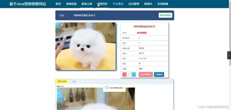 基于宠物销售网站 源码 开题 csdn博客