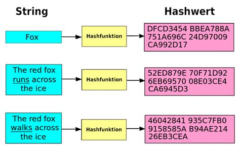 Hash Hashfunktion