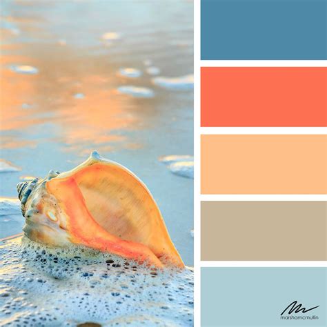 Sea Shells Color Palette Beach Color Palettes Color Palette Design