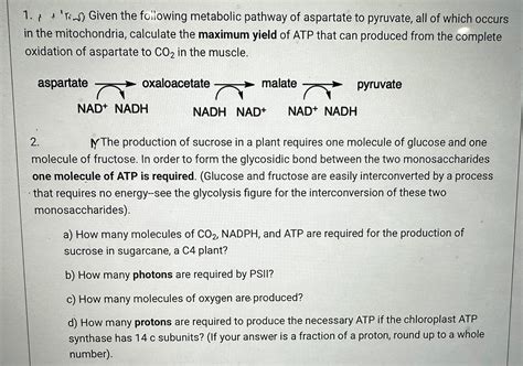 Answered 1 Given The Following Metabolic Bartleby