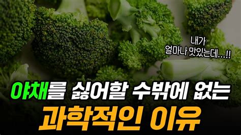 브로콜리 싫어하는 사람들 다 들어오세요 Youtube