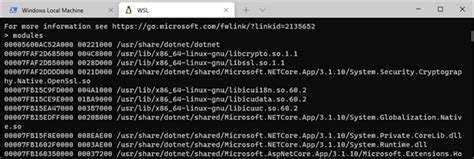 使用 WSL 在另一台计算机上打开核心转储 ASP NET Core Microsoft Learn