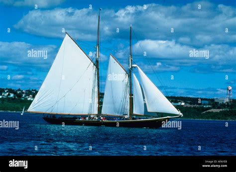 Famous Tall Sailing Ship Bluenose Ii In Harbour Halifax Nova Scotia