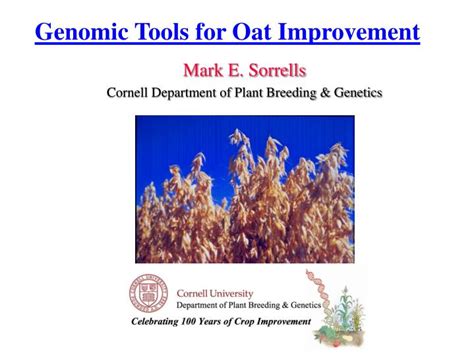 Ppt Genomic Tools For Oat Improvement Powerpoint Presentation Free