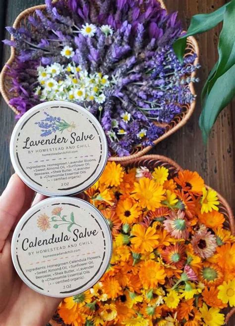How To Make Salve Or Balms 101 Simple Flexible Recipe ~ Homestead And