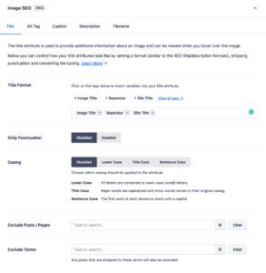 Using The Image Seo Features In All In One Seo Aioseo
