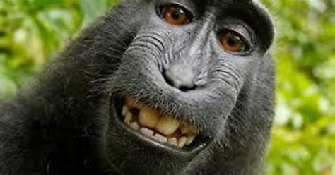 Samgroot Face Reveal Album On Imgur