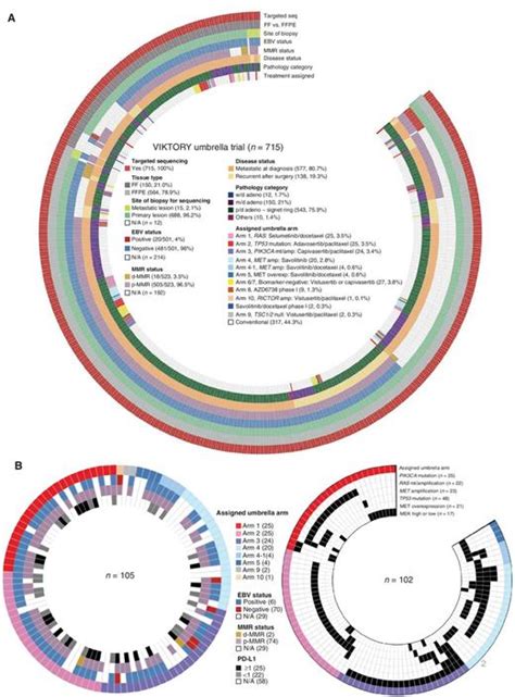 Tumor Genomic Profiling Guides Patients With Metastatic Gastric Cancer