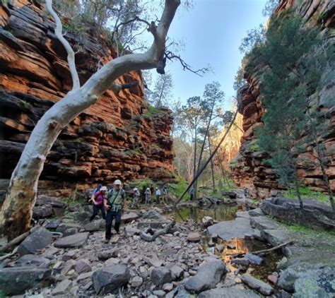 Flinders Ranges Guided Walking And Hiking Tours