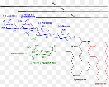 Glycosphingolipid png | PNGEgg