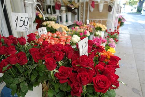 黒海という名の青い海～ブルガリア・ヴァルナ～ 世界の花屋 フラワーギフト おしゃれな花の通販サイト