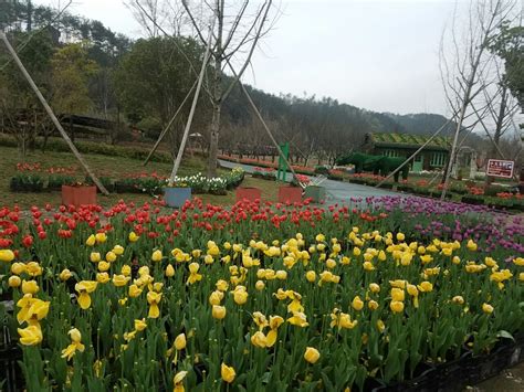 义乌马畈景区马畈景区大山谷图库