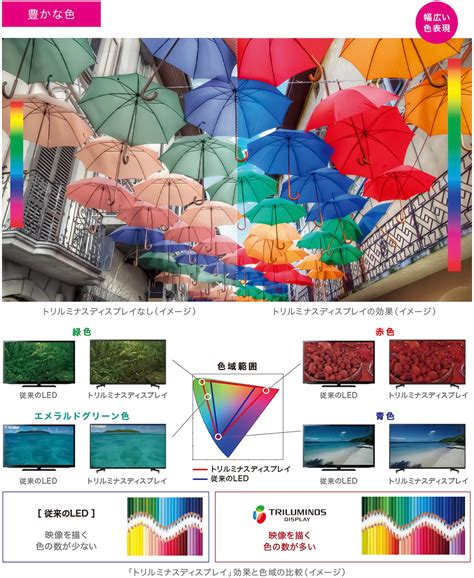 Z9h Kj 85z9h 8k画質の未来映像blog