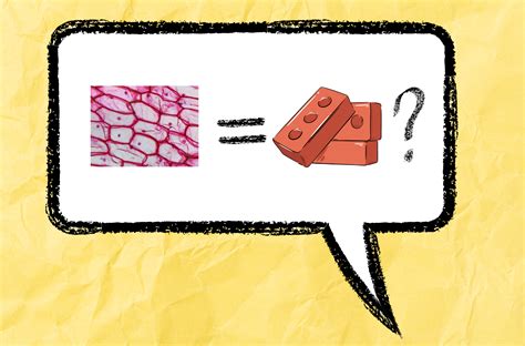 How Metaphor Has Shaped Science For Better Or Worse