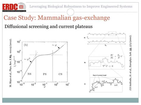 PPT Leveraging Biological Robustness To Improve Engineered Systems PowerPoint Presentation