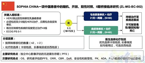 Her2阳性乳腺癌新药马吉妥昔单抗上市！后线治疗再添新选 知乎