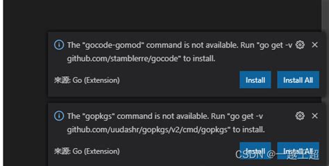 VS Code安装go插件失败原因分析以及解决方案 Golang 脚本之家