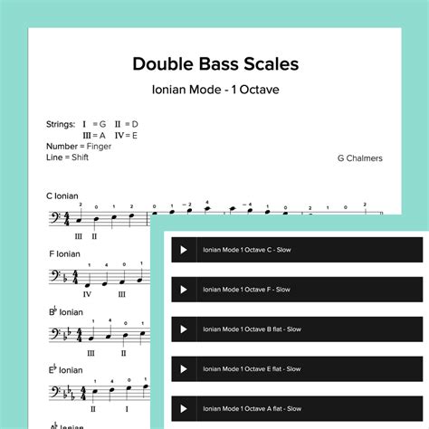 Discover Double Bass