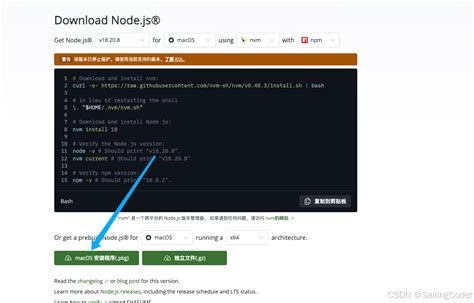 新人最容易踩坑的 Nodejs 环境配置指南（干净、稳定、不乱套）nodejs哪个版本稳定 Csdn博客