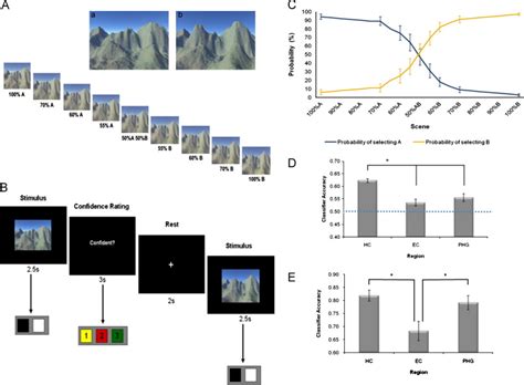 Decoding Scene Representations In The Medial Temporal Lobe Bonnici Et