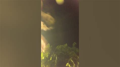 Ooooooooooooooooo Youtube