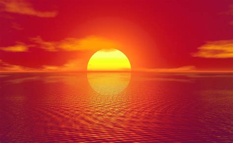 Yellow Sun Wallpapers 4k Hd Backgrounds On Wallpaperbat