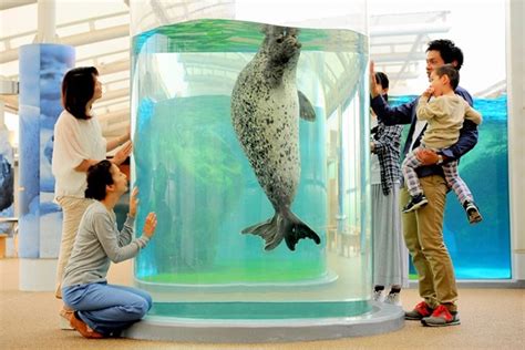 【取材記事】京都水族館の魅力を徹底レポート！ 割引やお土産情報から人気のスポットまで！