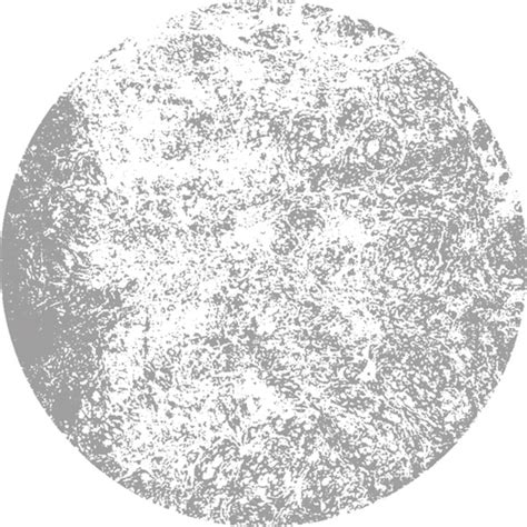 Premium Vector Vector Texture