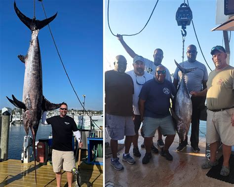 Swordfish Record Size At Zac Ayers Blog