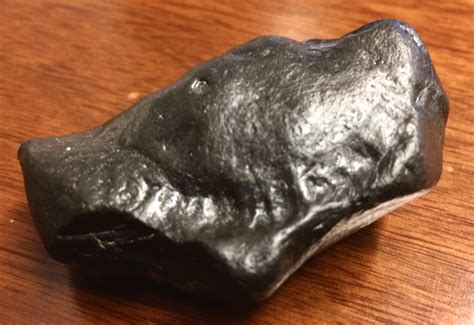 Help Identifying Fossil Id The Fossil Forum