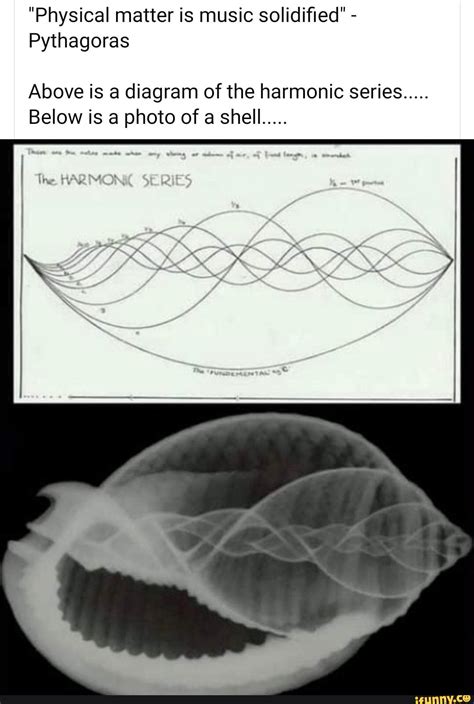 Pythagoras Memes Best Collection Of Funny Pythagoras Pictures On IFunny