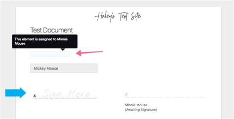 How To Add Signer Input Fields Wp E Signature Support And Documentation By Approveme