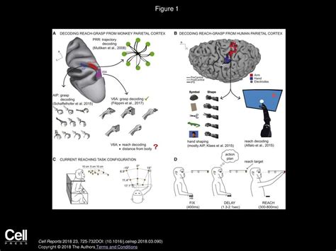 Volume 23 Issue 3 Pages April 2018 Ppt Download