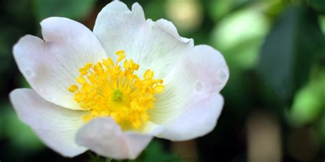 Syslog Ng With Elastic Stack 7 Blog Syslog Ng Community Syslog Ng Community