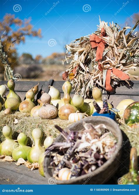 Autumn Harvest Bounty In October Stock Image Image Of Foliage Scene