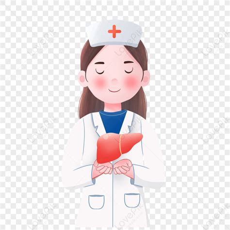 간 보호제 Png 일러스트 무료 다운로드 Lovepik