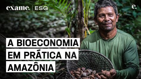 Amazônia bioeconomia é o futuro da agricultura brasileira YouTube