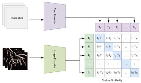 Clip 8 Model As A Contrastive Pre Training Approach Download