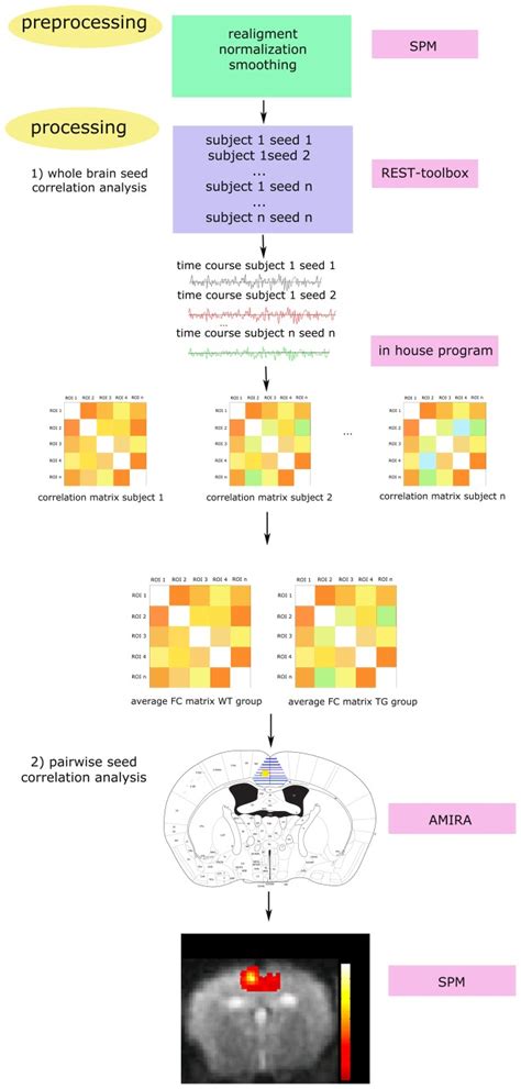 After The Pre Processing Steps All Rsfmri Data Were Analysed Using The