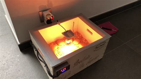 Couveuse Fait Maison Pas Cher Incubateur YouTube