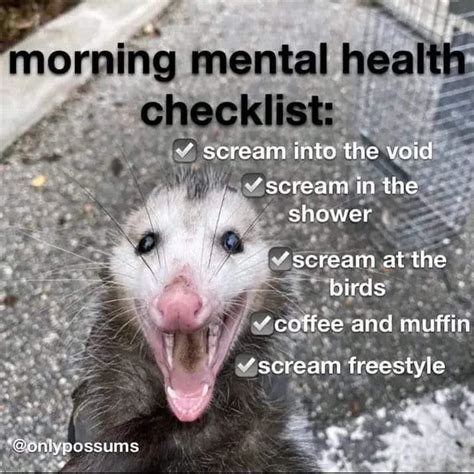 Checklist Irl R Opossum Irl