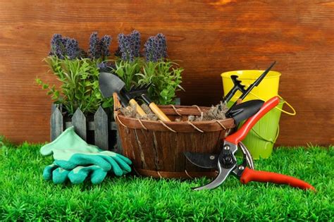 Premium Photo Garden Tools On Grass In Yard