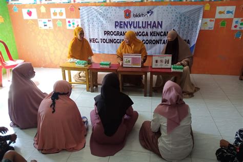Penyuluhan Program Bangga Kencana