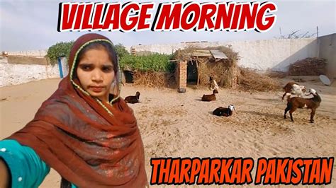 Our Village Morning Viewtharparkar Pakistantraditional Vlogs Youtube