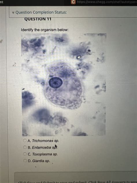 Solved Question Completion Statusquestion 11identify The