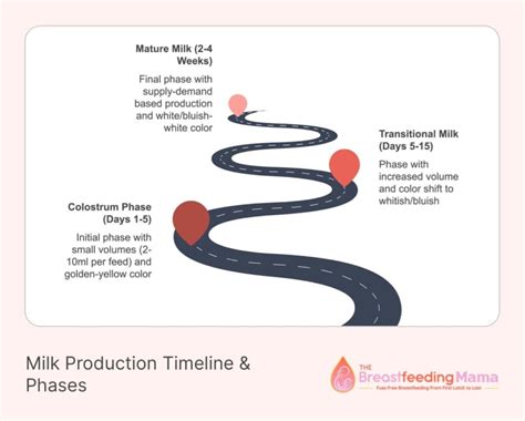 When Does Milk Supply Regulate Key Milestones And Expert Tips For New