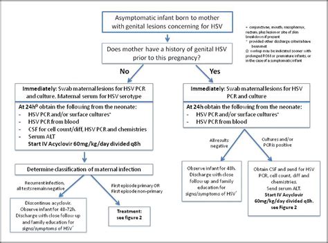 Molecular Diagnostics And Newborns At Risk For Genital Herpes Simplex Virus