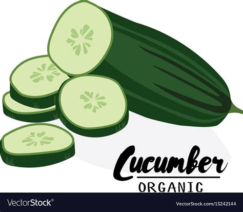 Cartoon Cucumber Ripe Green Vegetable Vegetarian Vector Image