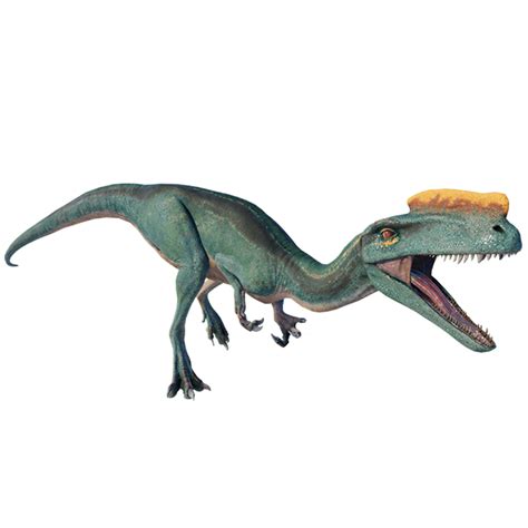 Proceratosaurus Jurassic Park Wiki Fandom