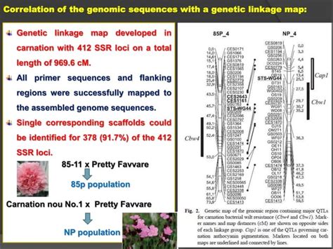 Next Generation Sequencing Technologies And Their Applications In Ornamental Crops Pptx